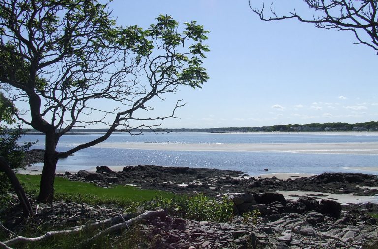 Timber Point Trail (Rachel Carson National Wildlife Refuge)