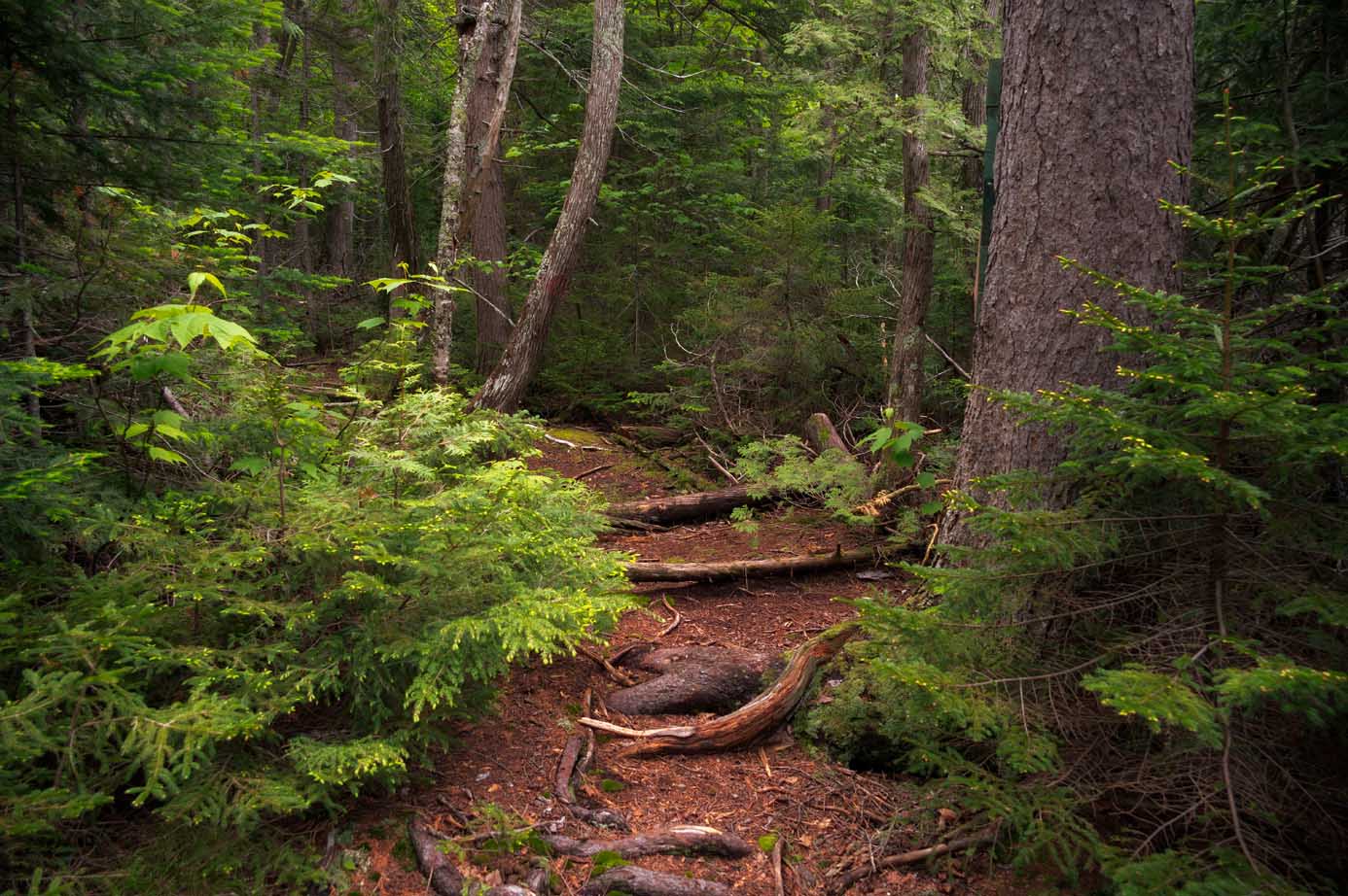 Stepping Back in Time in Maine’s North Woods: Part 2