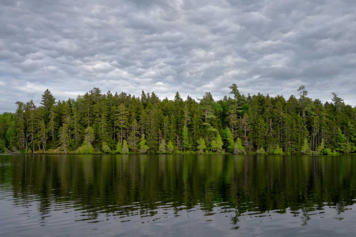 Stepping Back in Time in Maine’s North Woods: Part 2